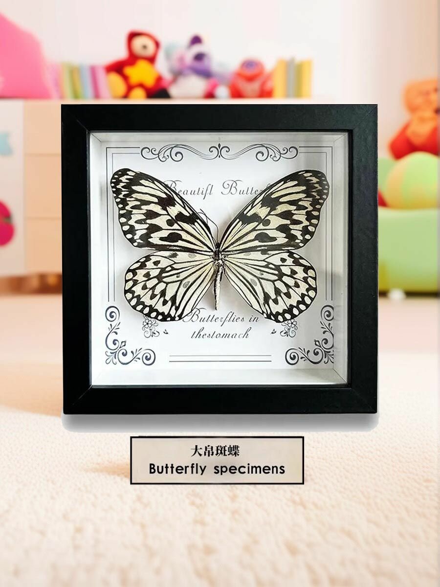 Декоративное чучело бабочки в деревянной рамке уникальный подарок и стильное украшение интерьера