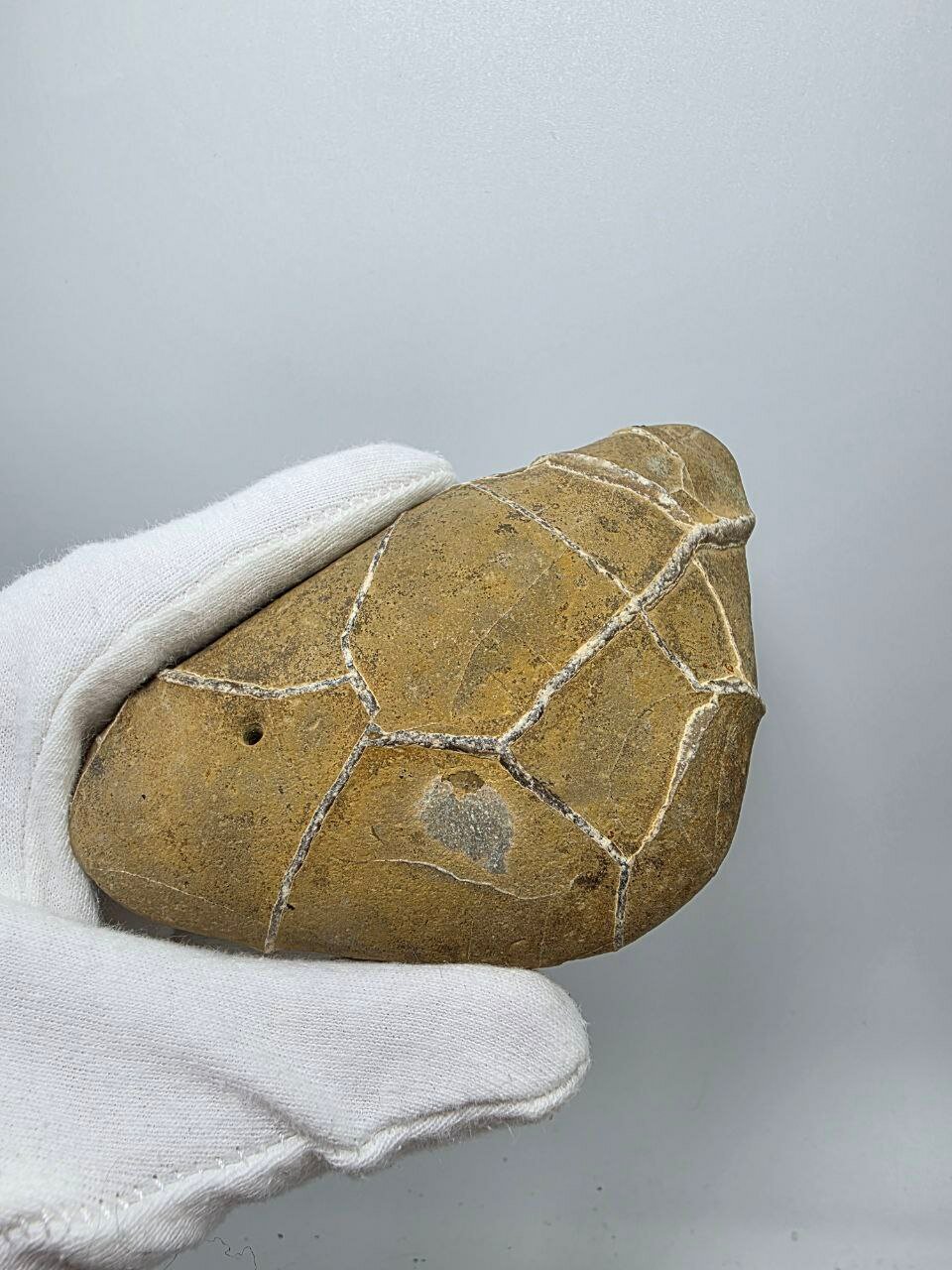 Септария 112 мм, 299 г.