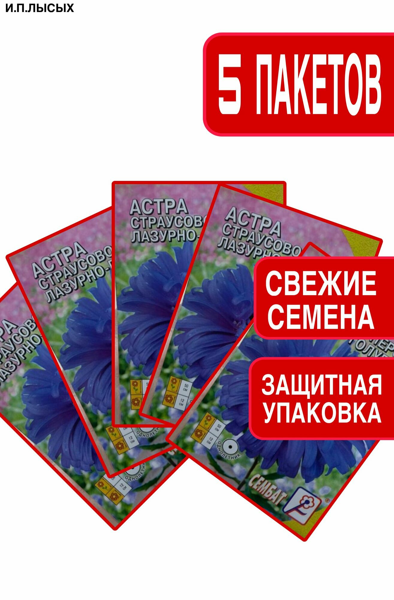Семена Астра "Страусово перо Лазурно Голубая"
