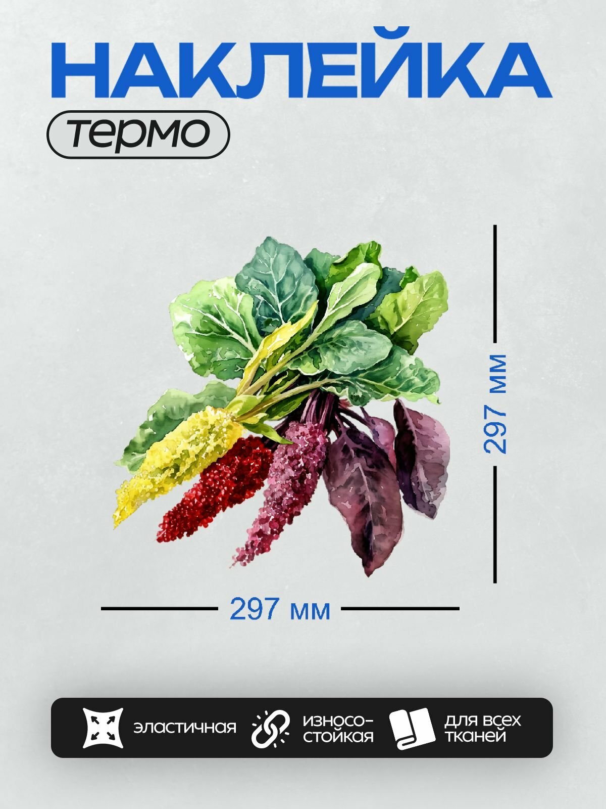 Термонаклейка PrintyFull на одежду DTF / Яркий букет из мангольда