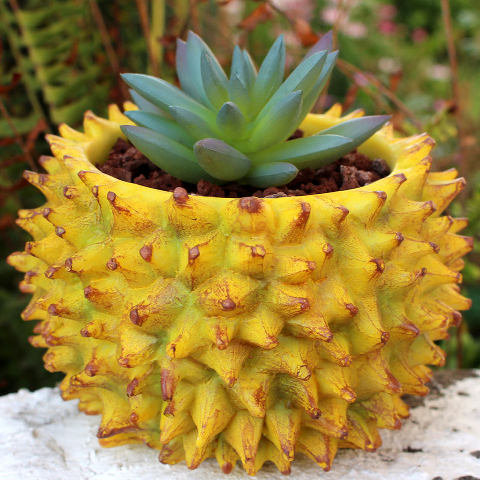 Суккулентный цветочный горшок в форме дуриана, смоляной цветочный горшок, настольное мини-украшение для сада, домашнего декора