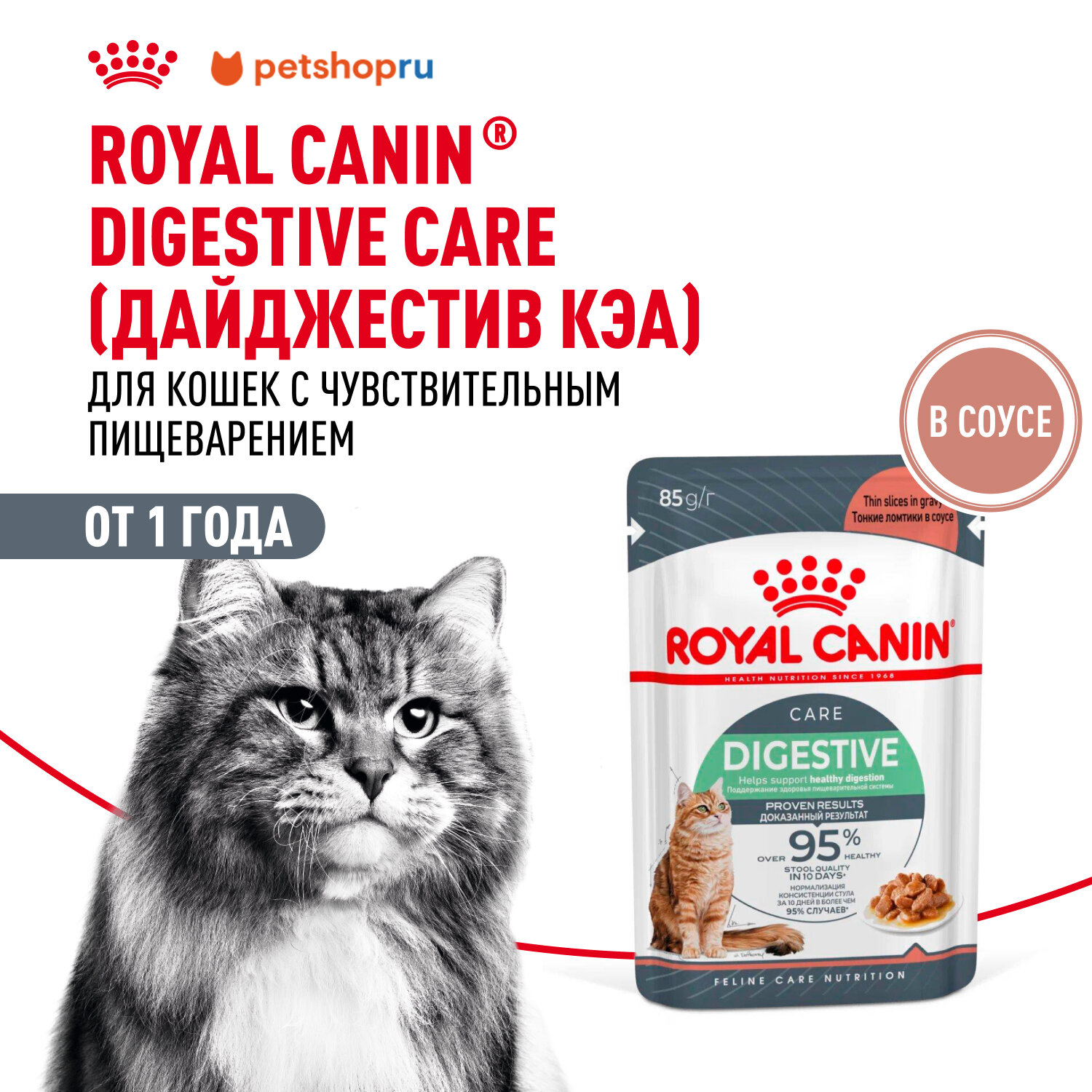 Royal Canin паучи для взрослых кошек с чувствительным пищеварением, тонкие ломтики в соусе, Digestive Care, 85 г
