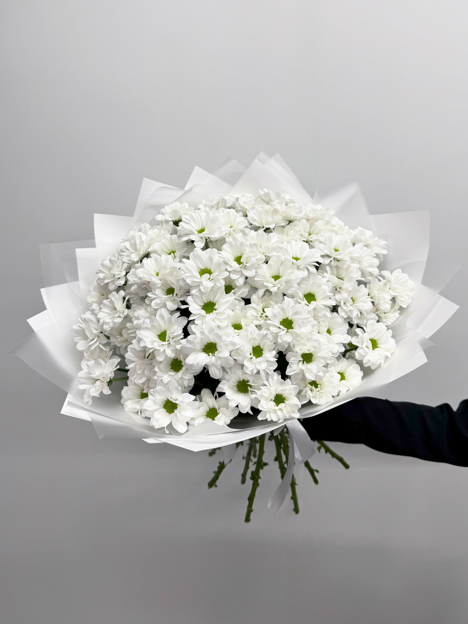 Букет живых цветов, белые хризантемы 15 шт "Кенеди" в упаковке, флау стор
