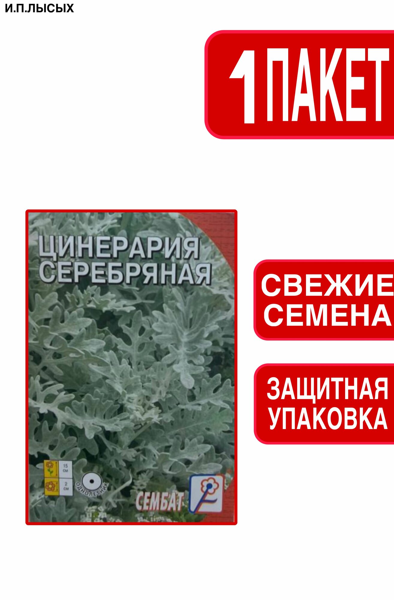 Семена Цинерария "Серебряная"