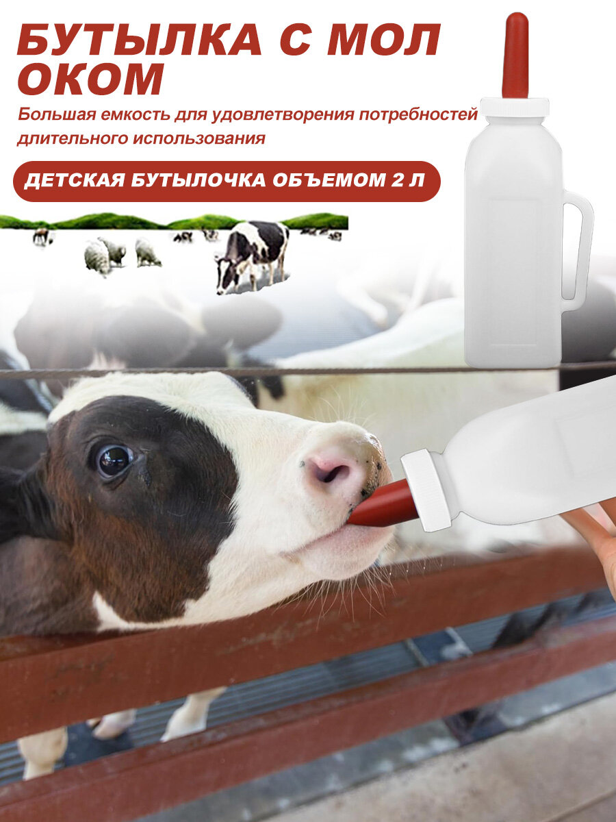 Бутылка для кормления выпойки телят с соской КРС,3л