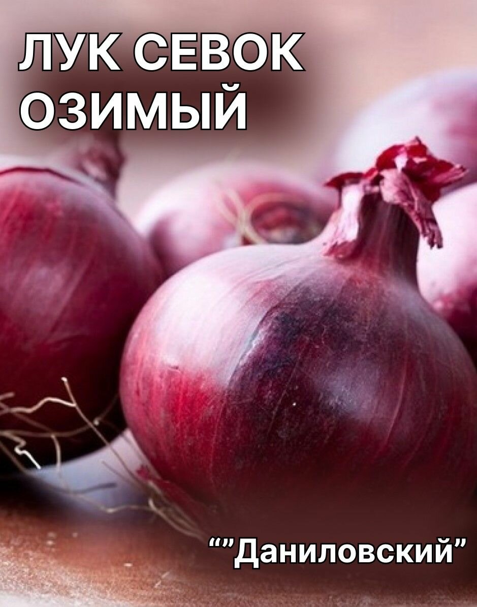 Лук севок озимый"Даниловский" 900г