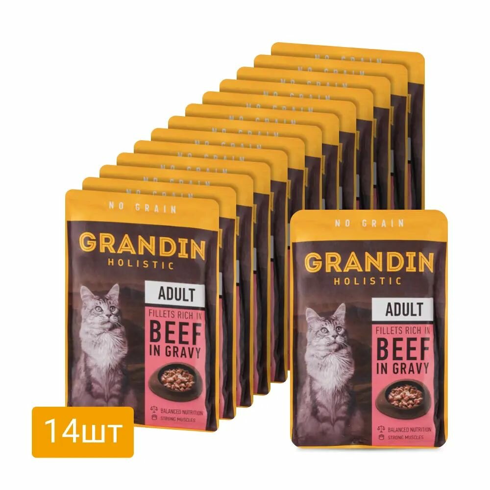 Grandin Влажный корм (пауч) для кошек, кусочки с говядиной в соусе, 85 гр. x 14