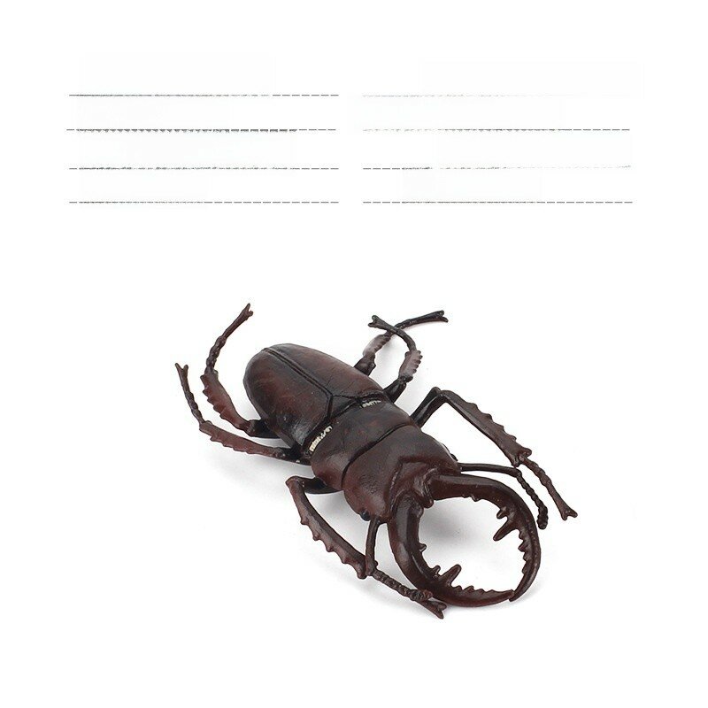 Model insects allomyrina dichotoma scene pvc обучающая диорама для дома или класса стиль i