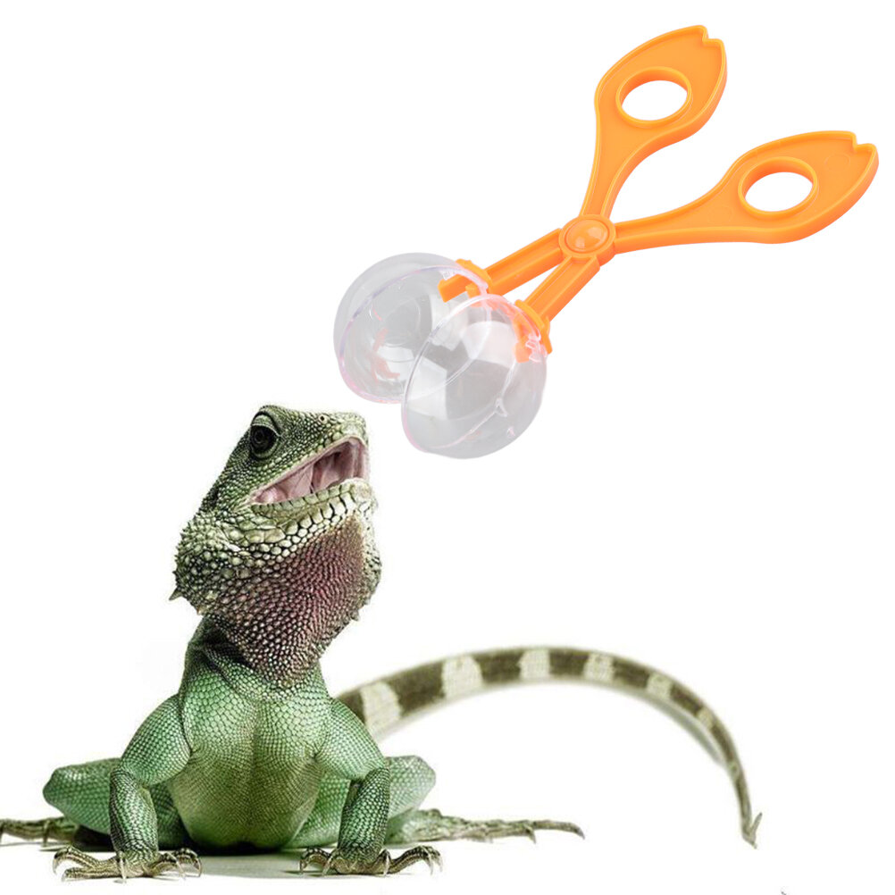 Набор щипцов и пинцетов для ловли насекомых для детей (2 шт.), игрушка для развивающих игр