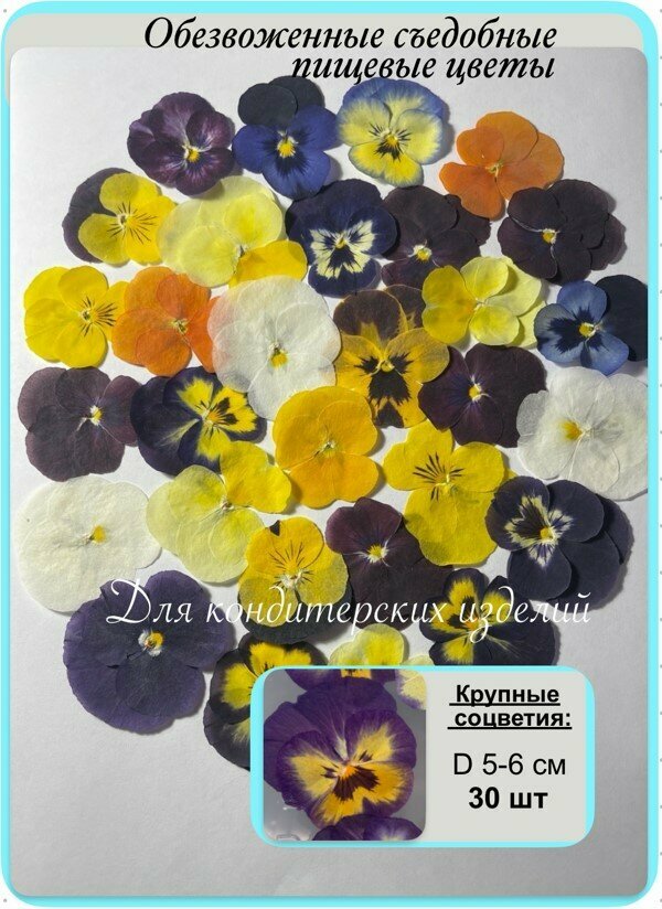 Цветы Виолы съедобные, набор " Тридцать ", разноцветные, d 4-6 см, 30 шт