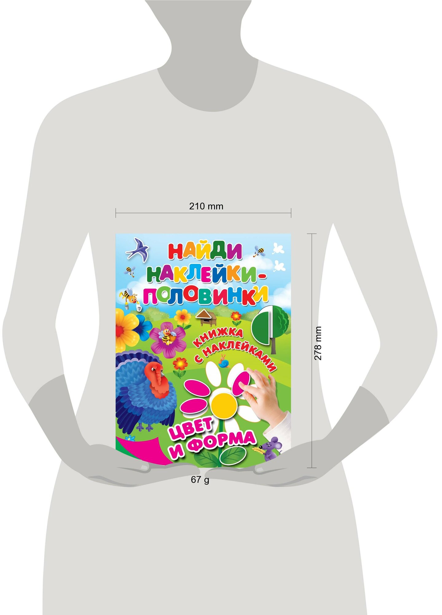 Цвет и форма — фото 1