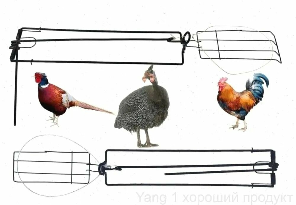 Приспособления-ловушки для кемпинга и охоты на голубей, фазанов, уток и других птиц в клетках