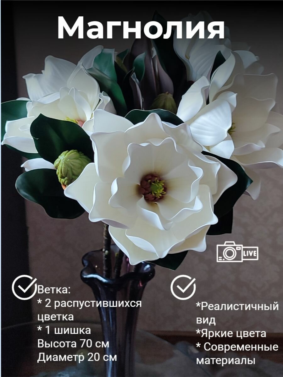 Магнолия белоснежная