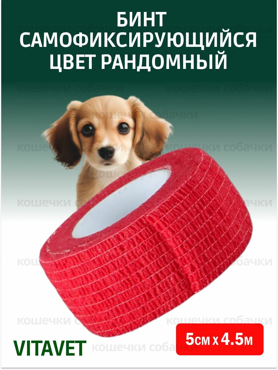 VitaVet Бинт-бандаж эластичный самофиксирующийся для животных 5см х 4.5м цветной