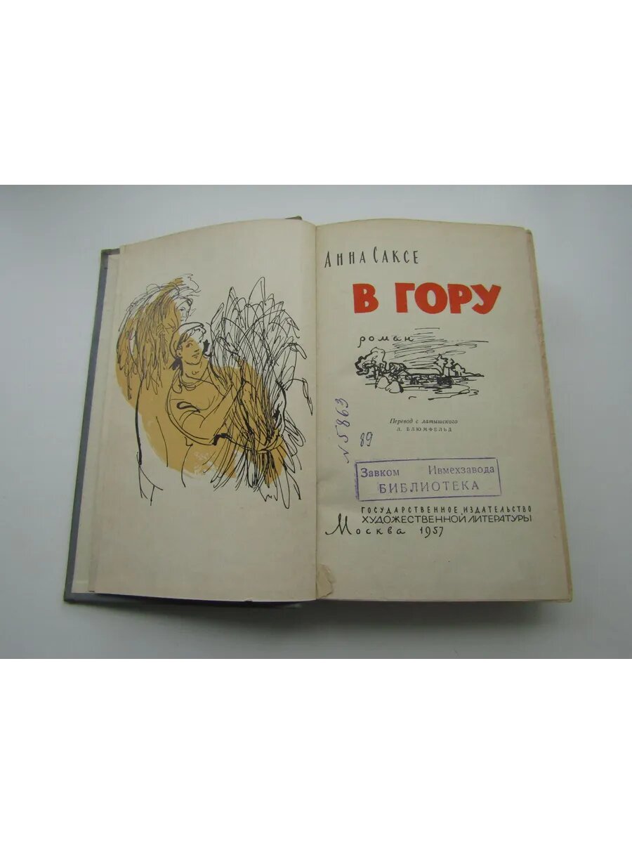 В гору. Анна Саксе — фото 1