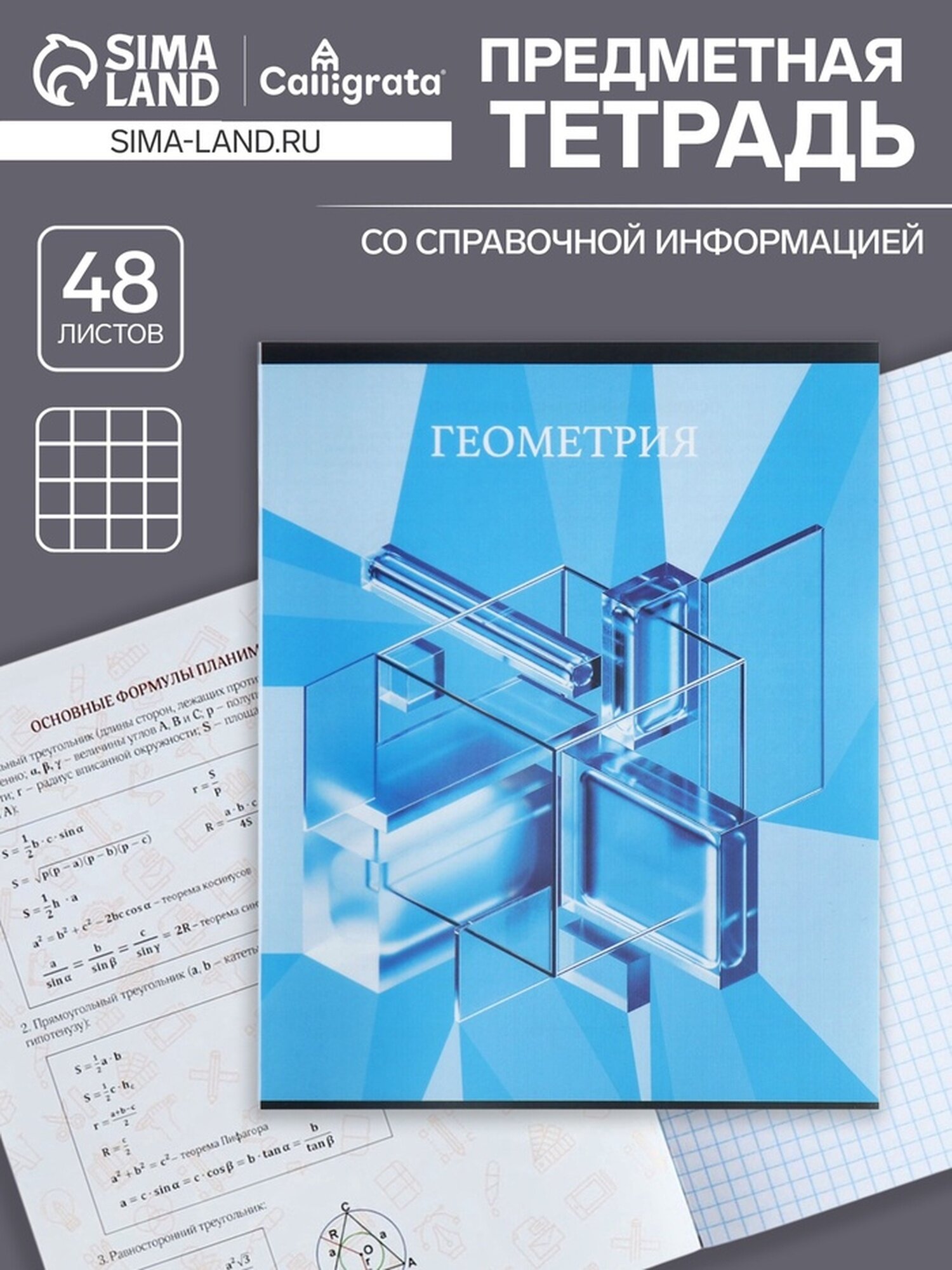 Тетрадь предметная 48 листов в клетку Calligrata, «Школьный стиль. Геометрия», пластиковая обложка
