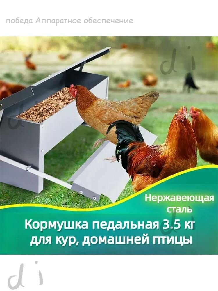 Педальная кормушка1 Педальная кормушка - это незаменимый помощник для владельцев кур.