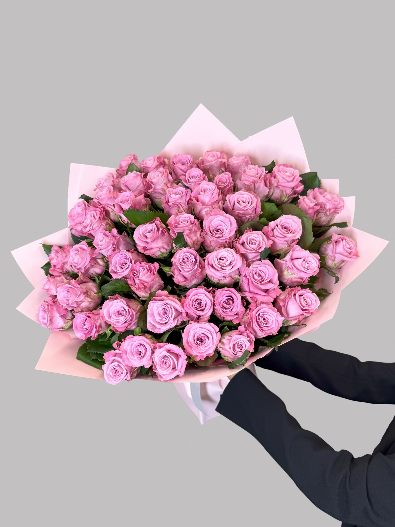 Букет живых цветов, пурпурно-розовые розы 51 шт 50 см. "Маритим" в упаковке, флау стор