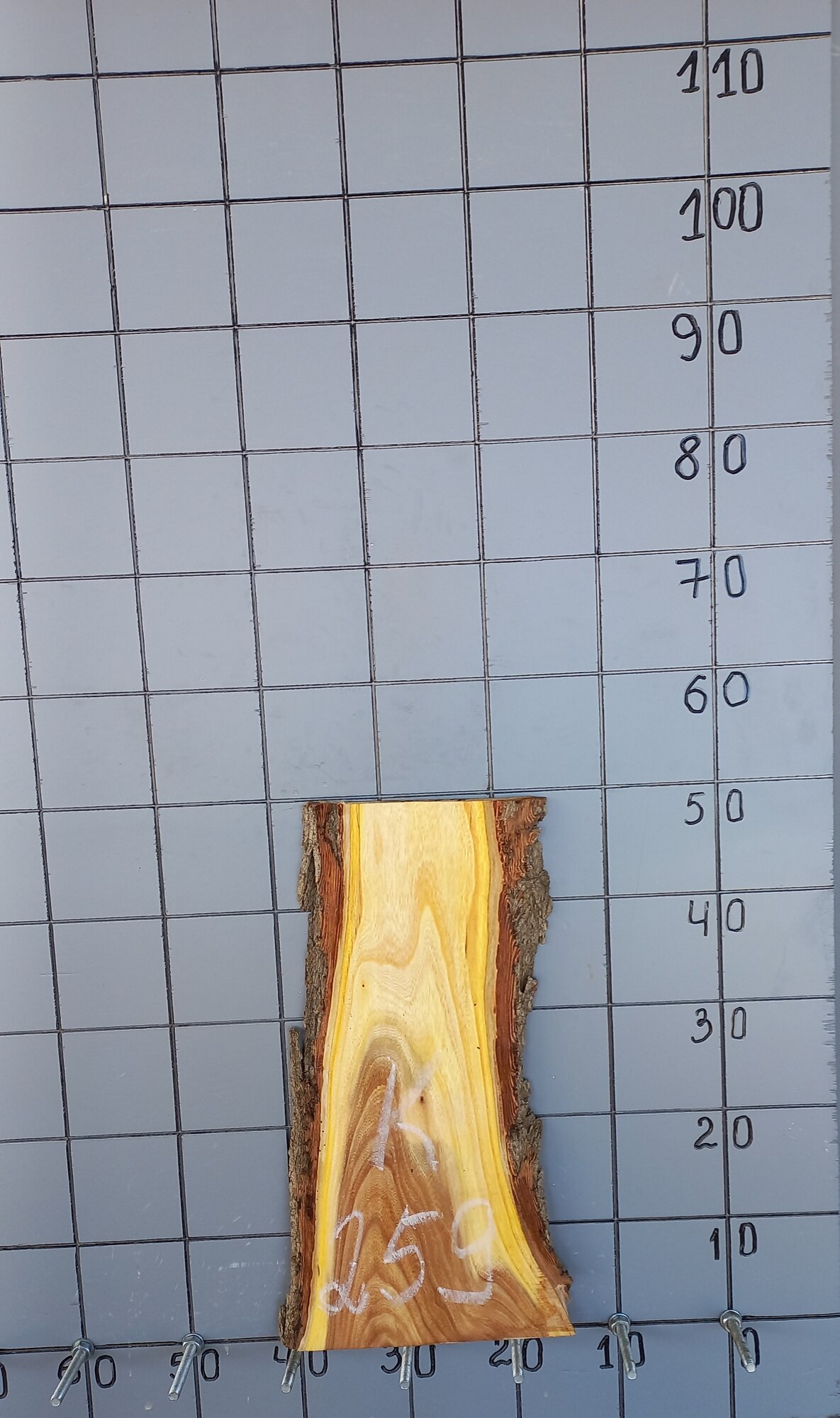 Слэб Доска ДЕРЕВООБРАБАТЫВАЮЩАЯ КОМПАНИЯ Dokles №259 "Карагач" 1,5*15*45 см, антисептическая, сухая