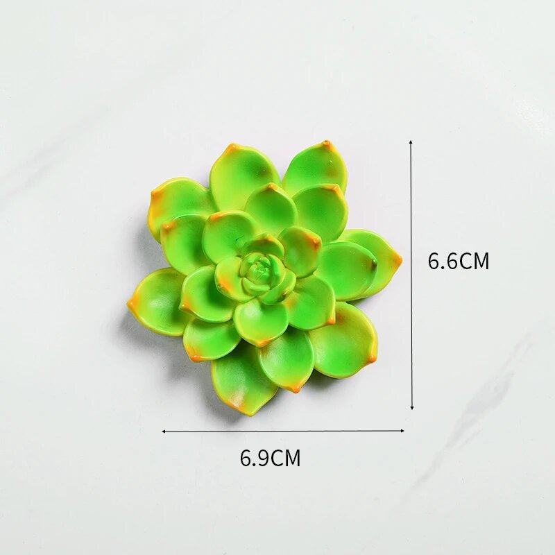 Магниты на холодильник 3D цветы Зеленый, Succulent green