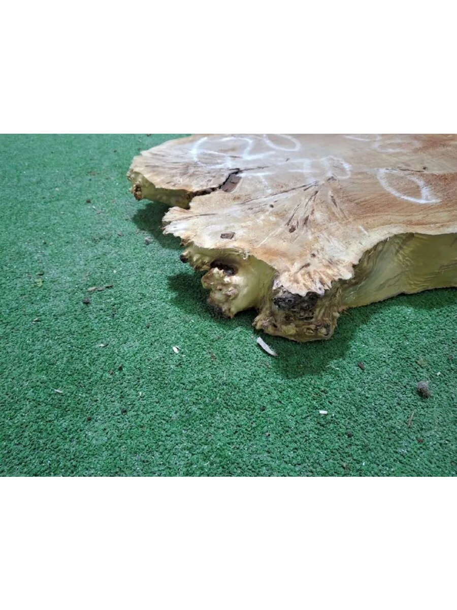 Слэб массив каповый тополь (630-560-70 мм)