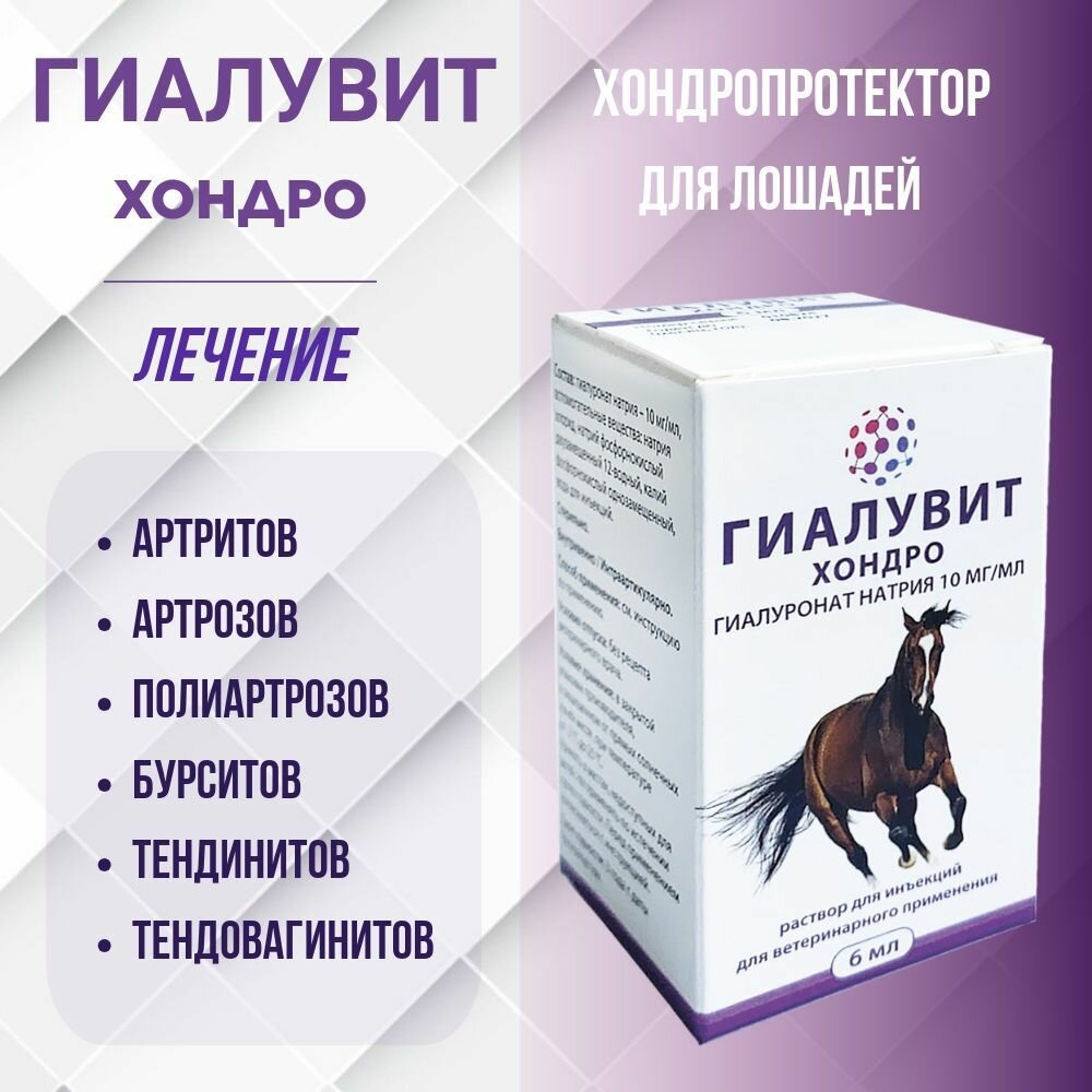 Гиалувит Хондро для лошадей, 6 мл
