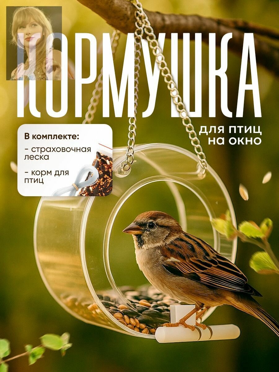 Кормушка для птиц на окно, уличная на присосках / Скворечник прозрачный 15х15х10 см