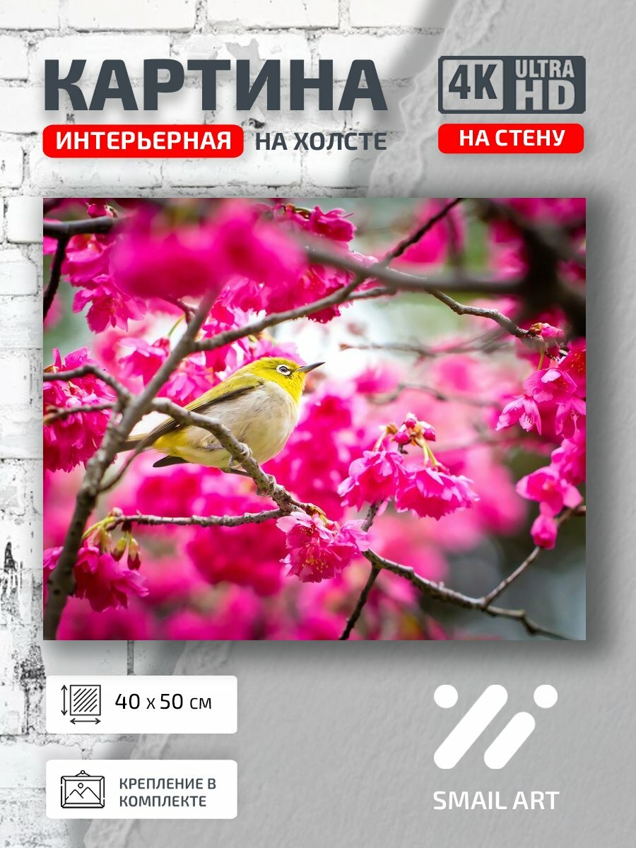 Картина на холсте интерьерная 40 на 50 на стену Птицы birds для спальни пейзаж интерьер
