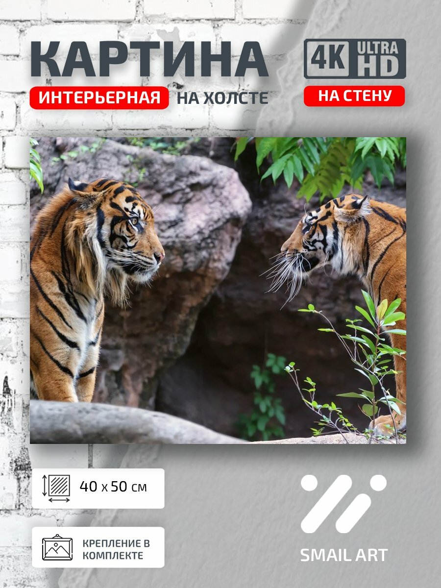 Картина на холсте интерьерная 40 на 50 на стену Скалы Animal для детской animal style декор
