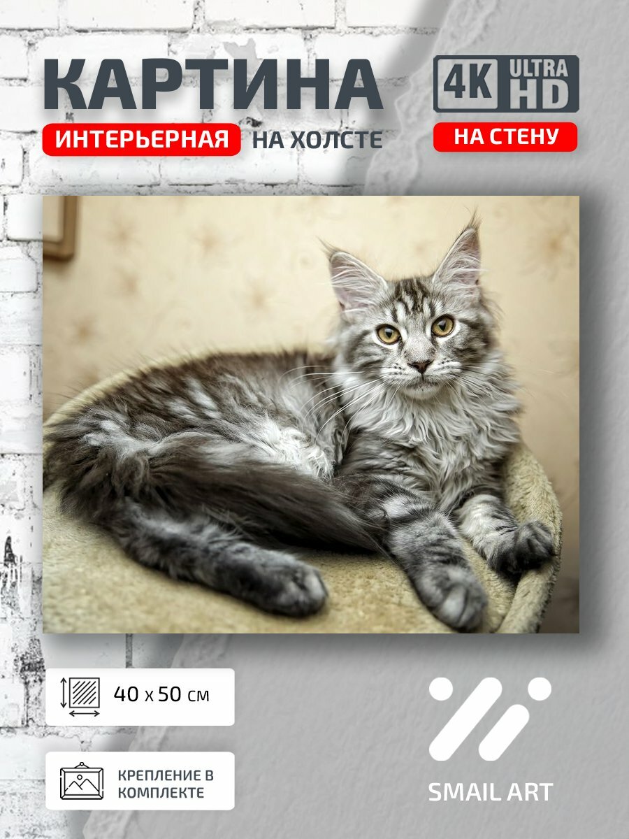 Картина на холсте интерьерная 40 на 50 на стену Серо-белый Animal для гостиной animal style