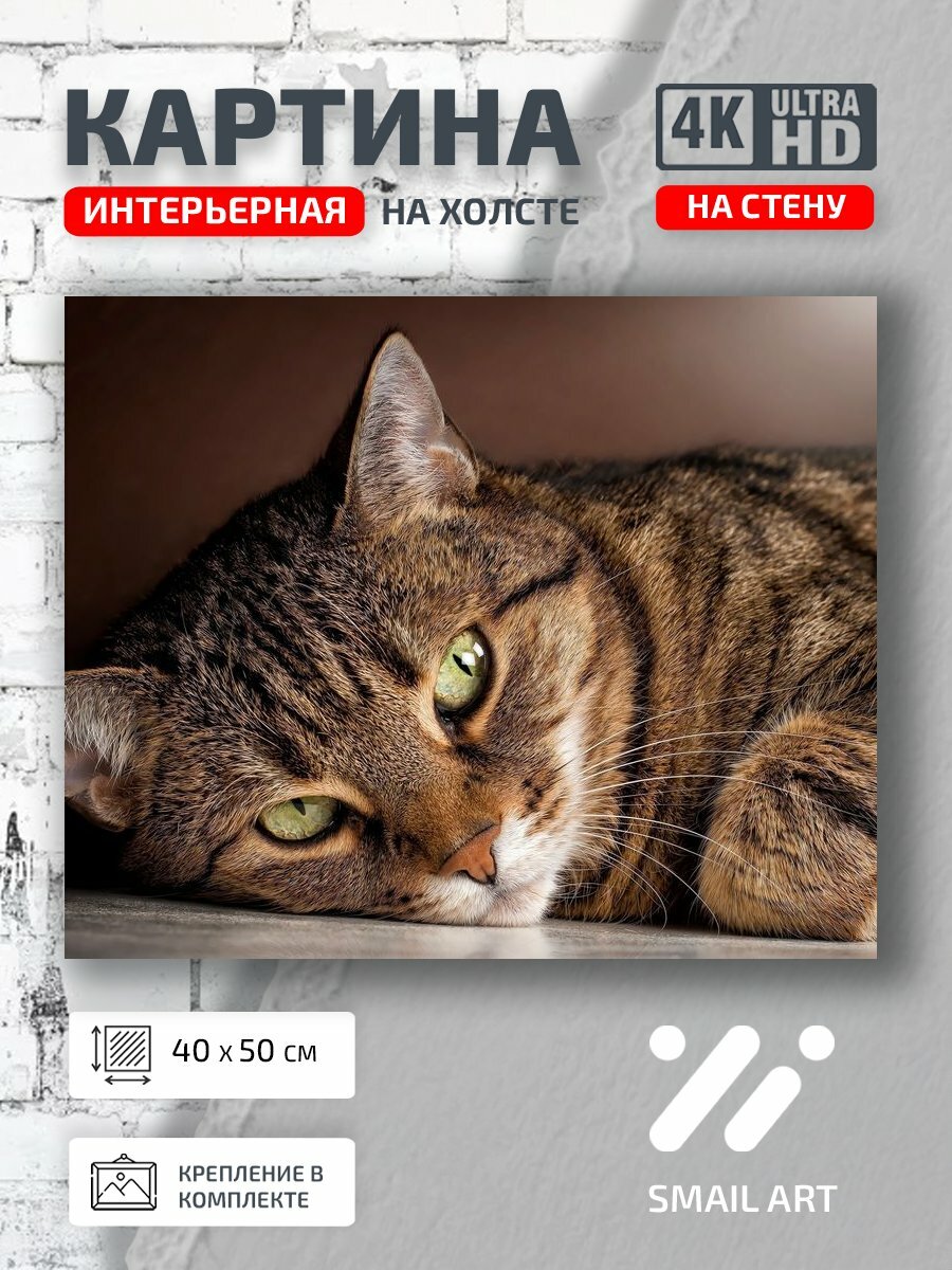 Картина на холсте интерьерная 40 на 50 на стену Глаза Animal для детской animal style декор