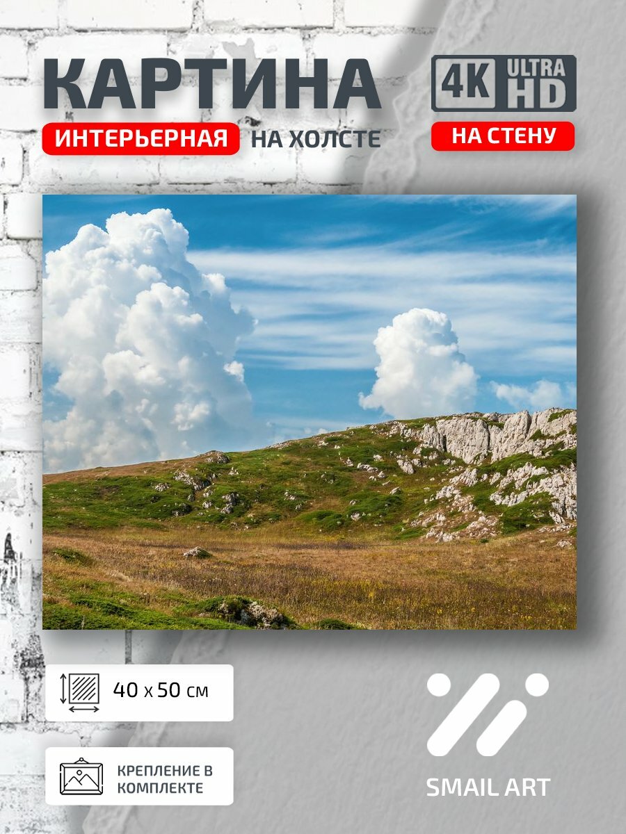 Картина на холсте интерьерная 40 на 50 на стену Степь Landscape для офиса пейзаж интерьер