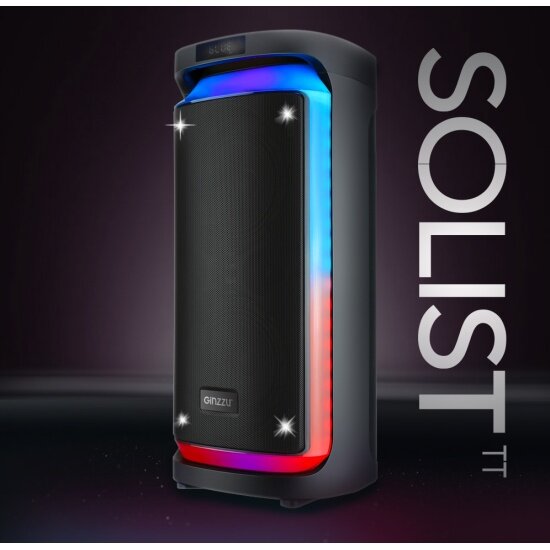 Акустическая система Ginzzu GM-226