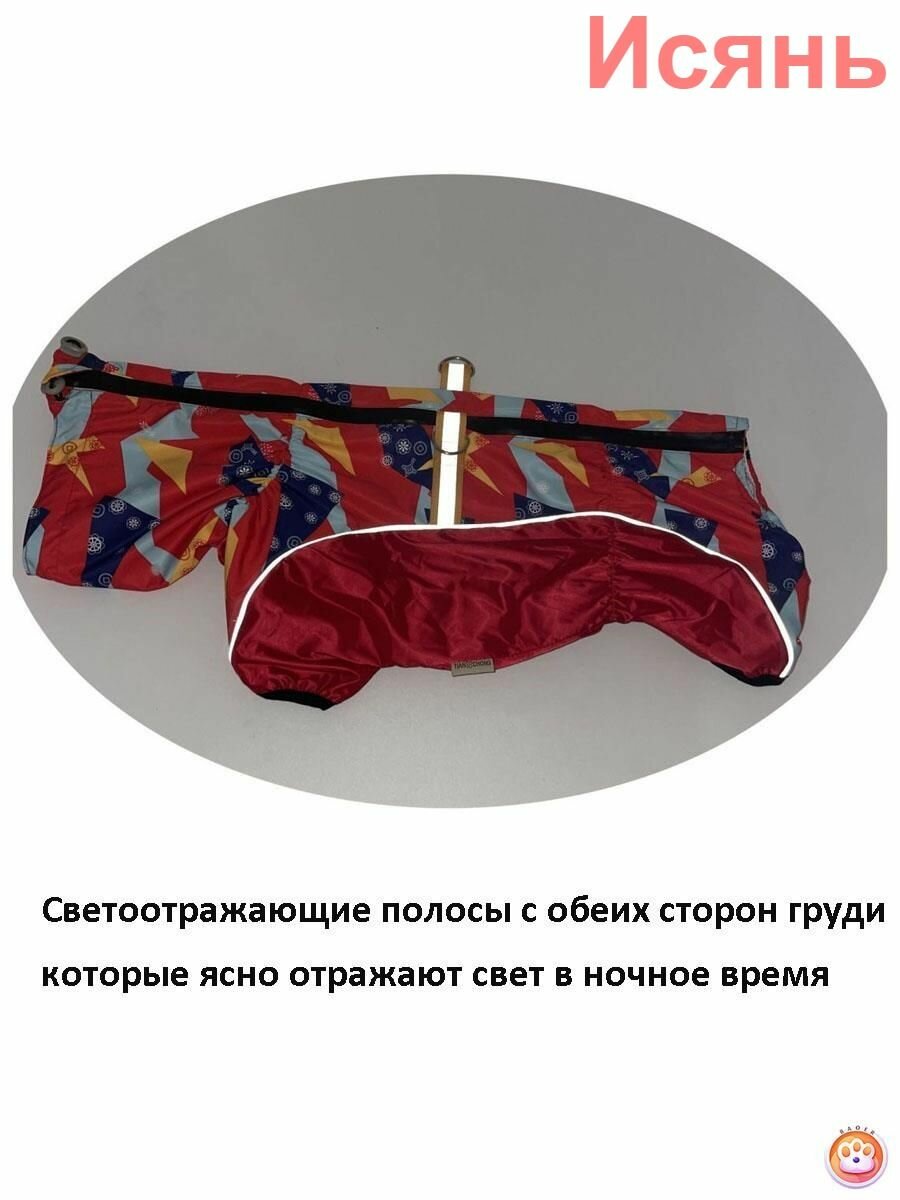 Одежда для животных — фото 1