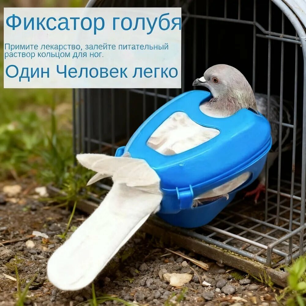 Фиксатор для голубей, удобный для подачи лекарства одним человеком, кольцо для ног
