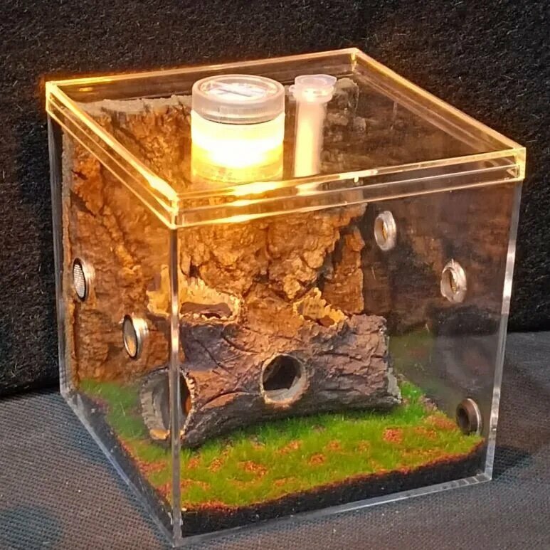 Xiaomi YouPin Террариум для пауков с щипцами-капельницами, клетка для улиток, вольер для сверчков, среда обитания древесных тарантулов
