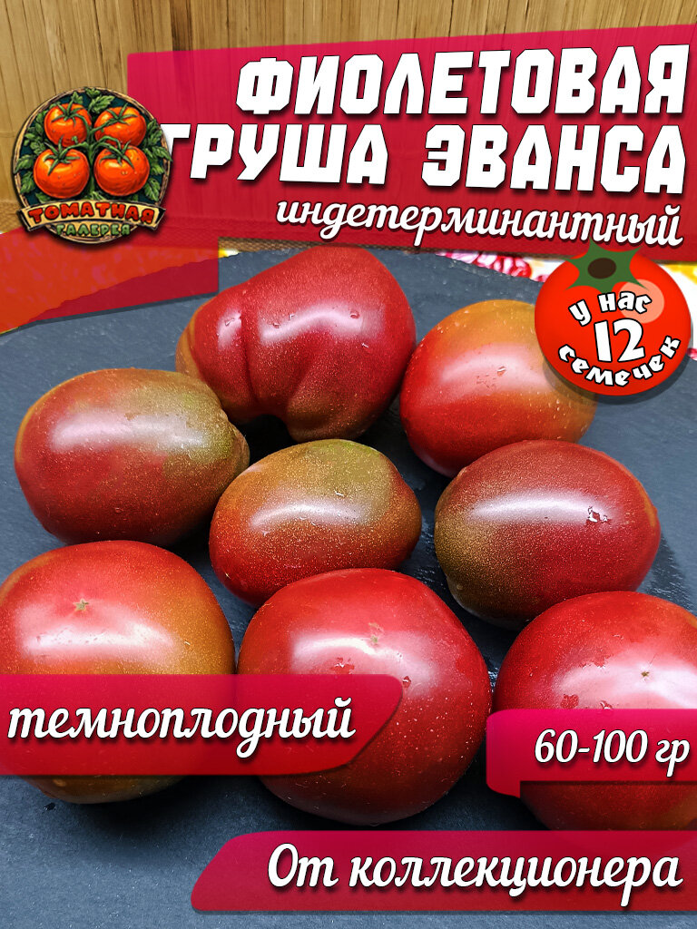 Томат "Фиолетовая Груша Эванса" Семена 12шт. Индетерминантный. Коллекционный сорт.