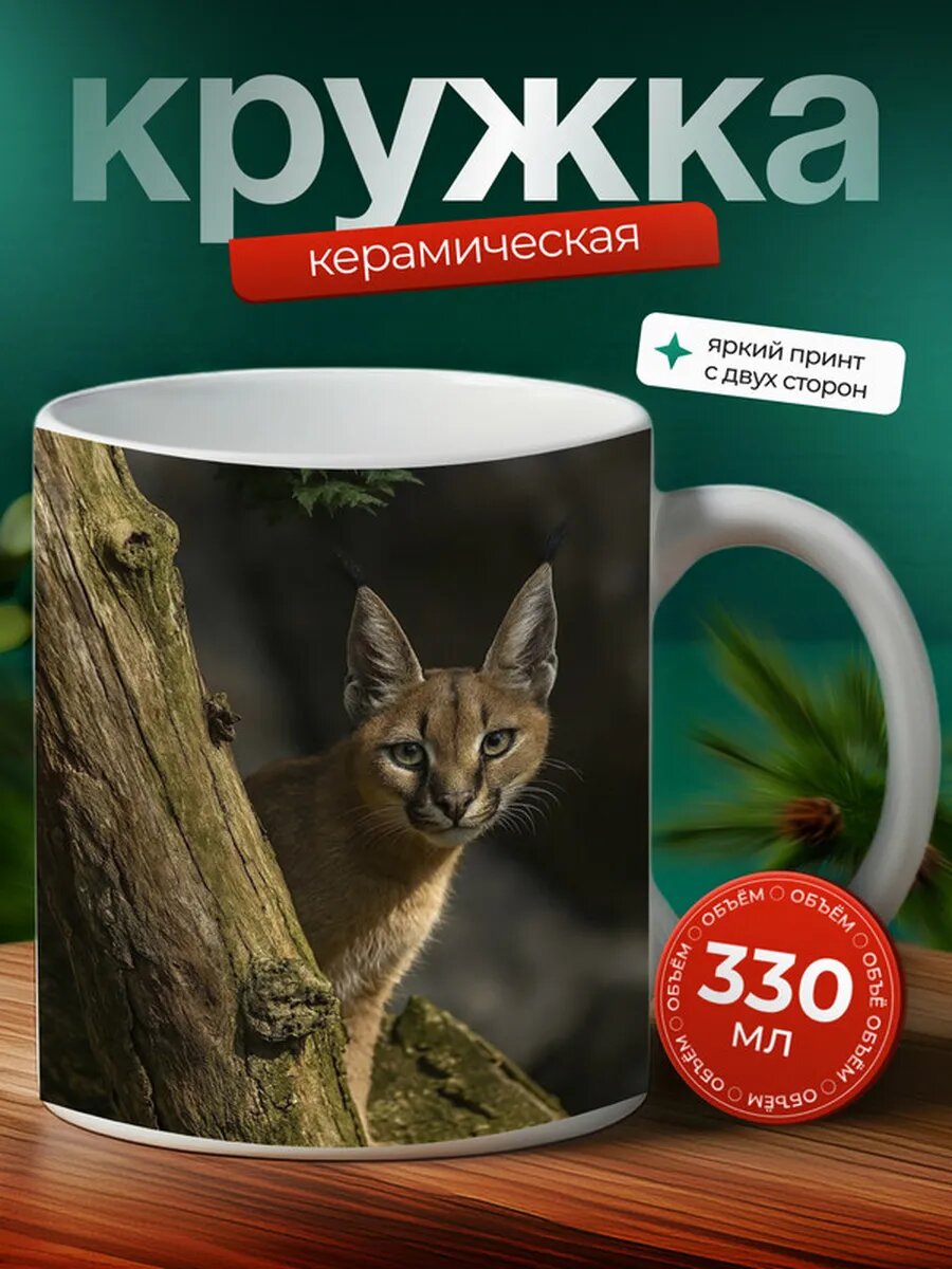Кружка Камчатский крабовый кот 26,