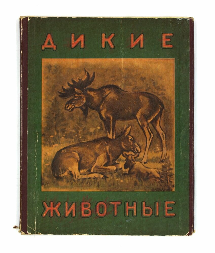 Дикие животные