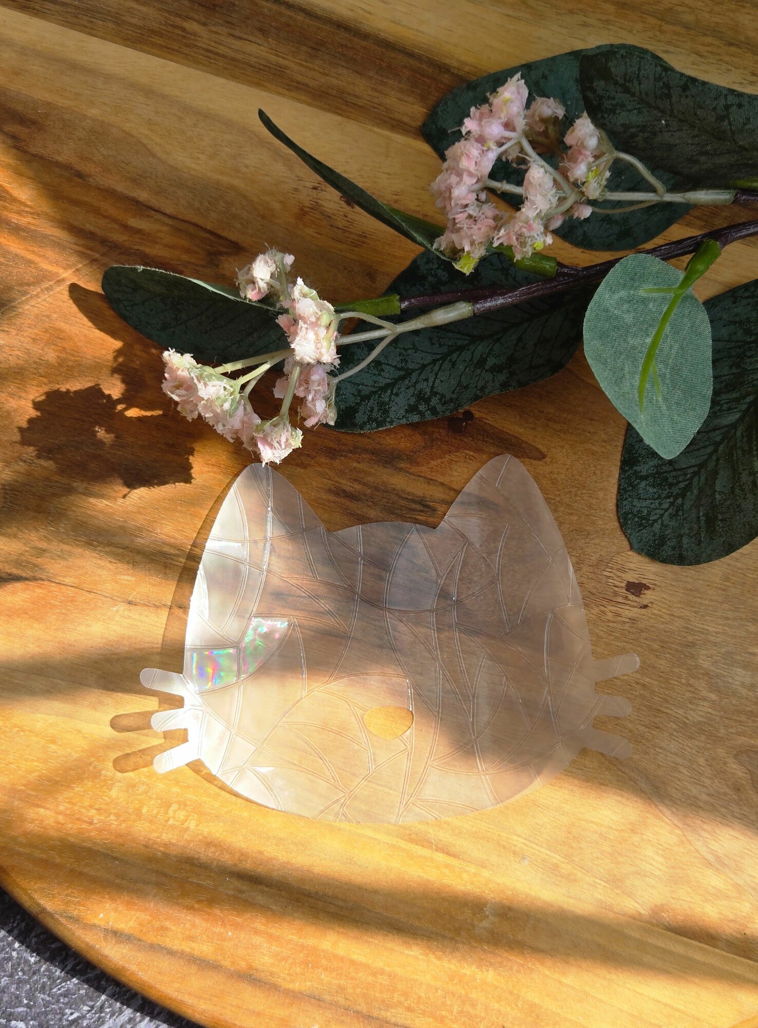 Ловец солнца "котик" adastra