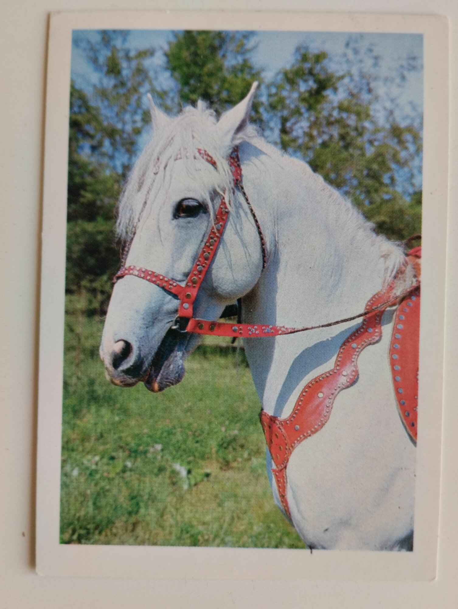 Карманный календарик СССР. 1990 год. Лошадь