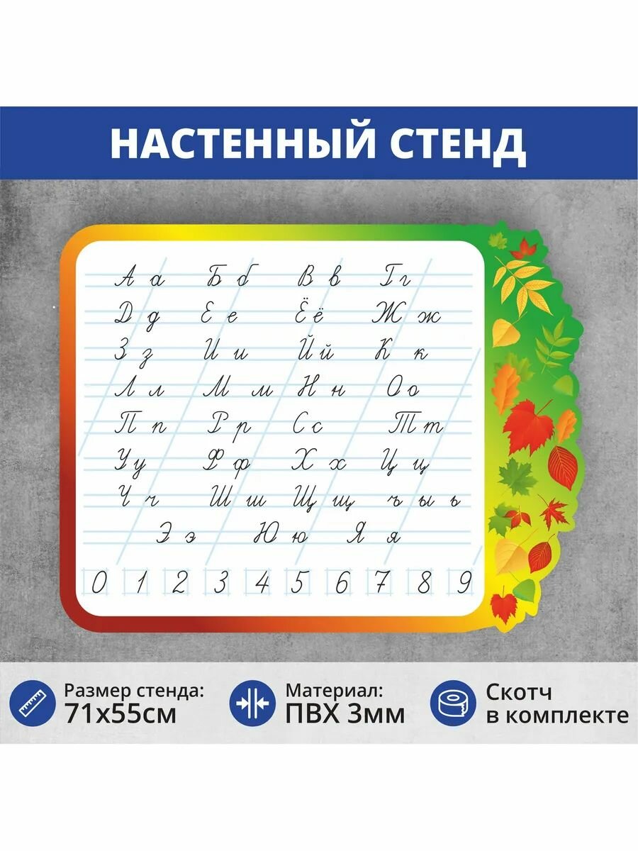Стенд для начальной школы "Алфавит" 710х550мм