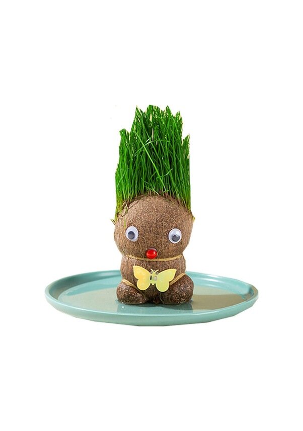 Комплект для выращивания кошачьей травы в горшках с гидропонным растением. Уход за кошачьей травой. Устранение комков шерсти. Желудочная трава. Товары для животных. Гидропоника.