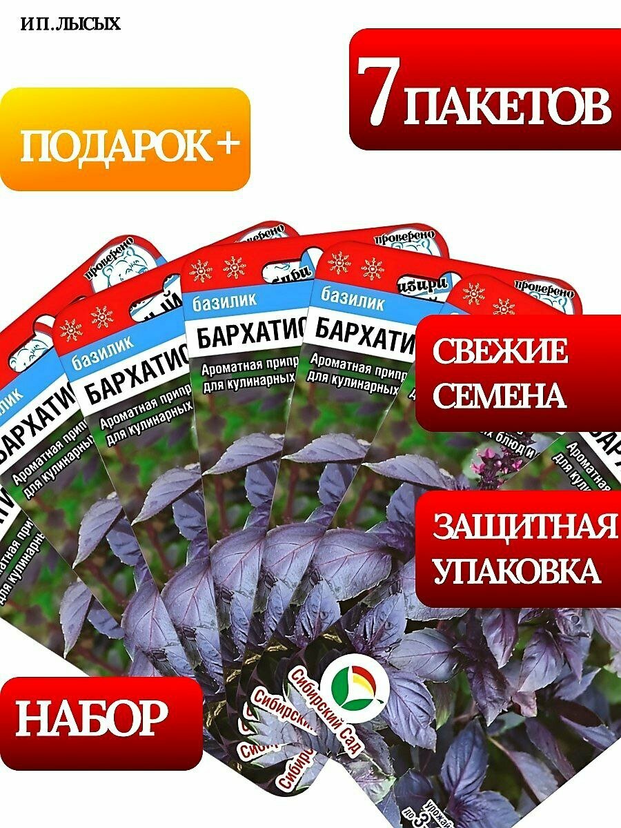 Семена Базилик "Бархатисто-Черный"