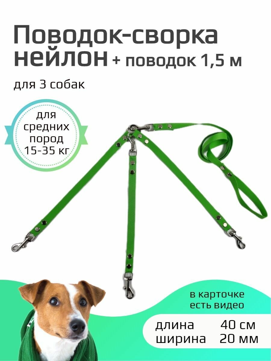 Сворка Хвостатыч для трёх собак нейлон 40 см х 20 мм с поводком 1.5 м (салатовый)