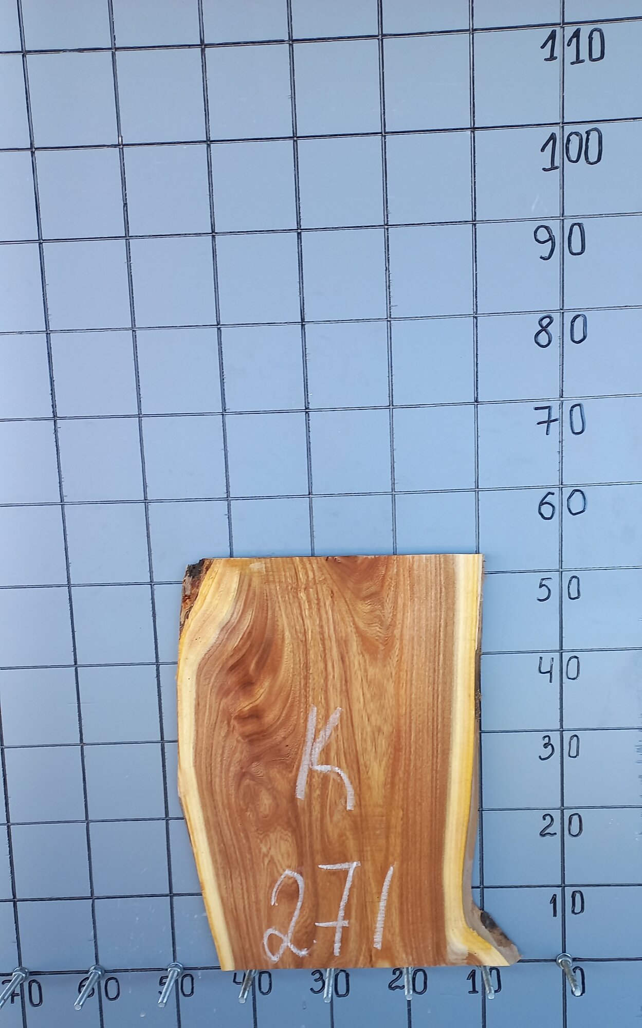 Слэб Доска деревообрабатывающая компания Dokles №271 "Карагач" 2,5х36х50 см, антисептическая, сухая