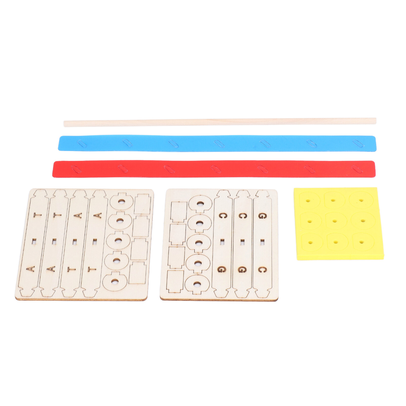 Модель деревянной ДНК модель спиральной модели