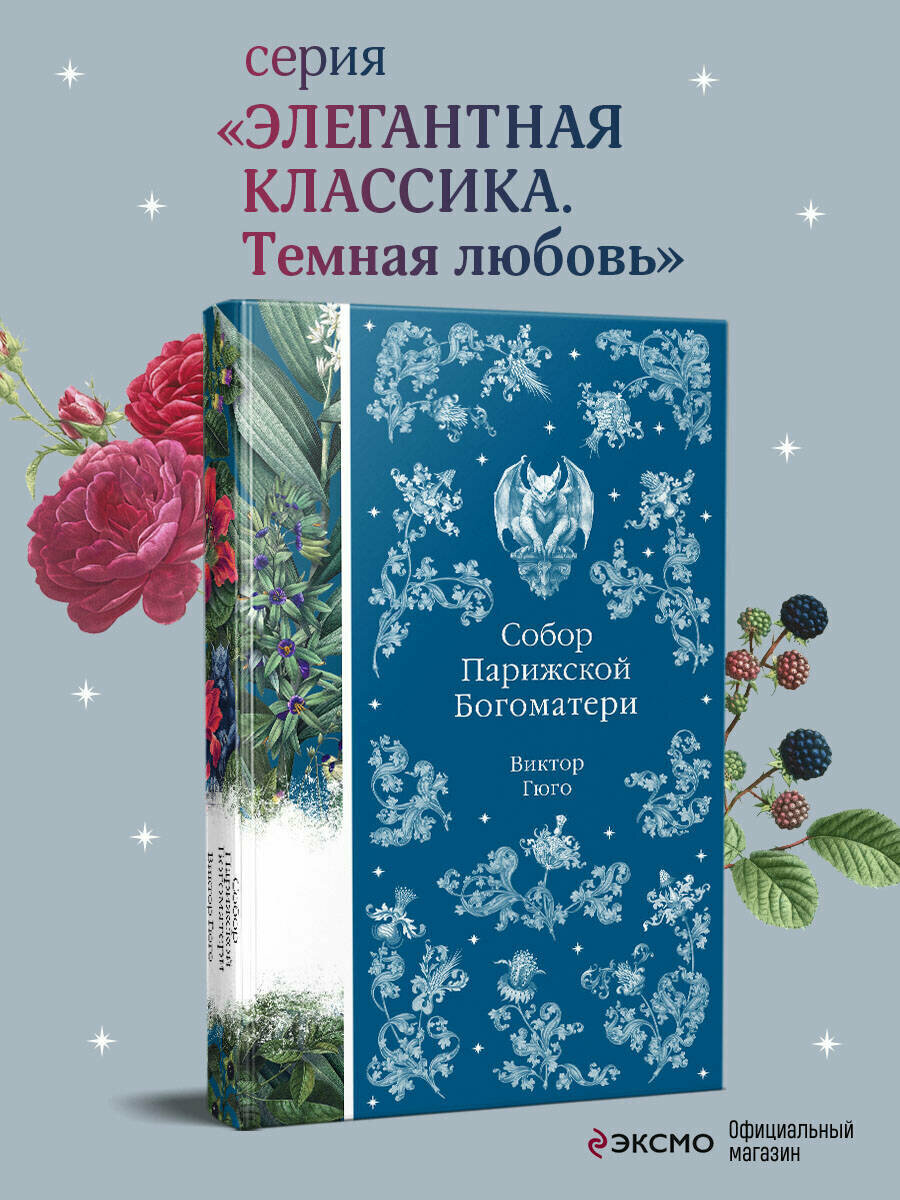 Гюго В. Собор Парижской Богоматери