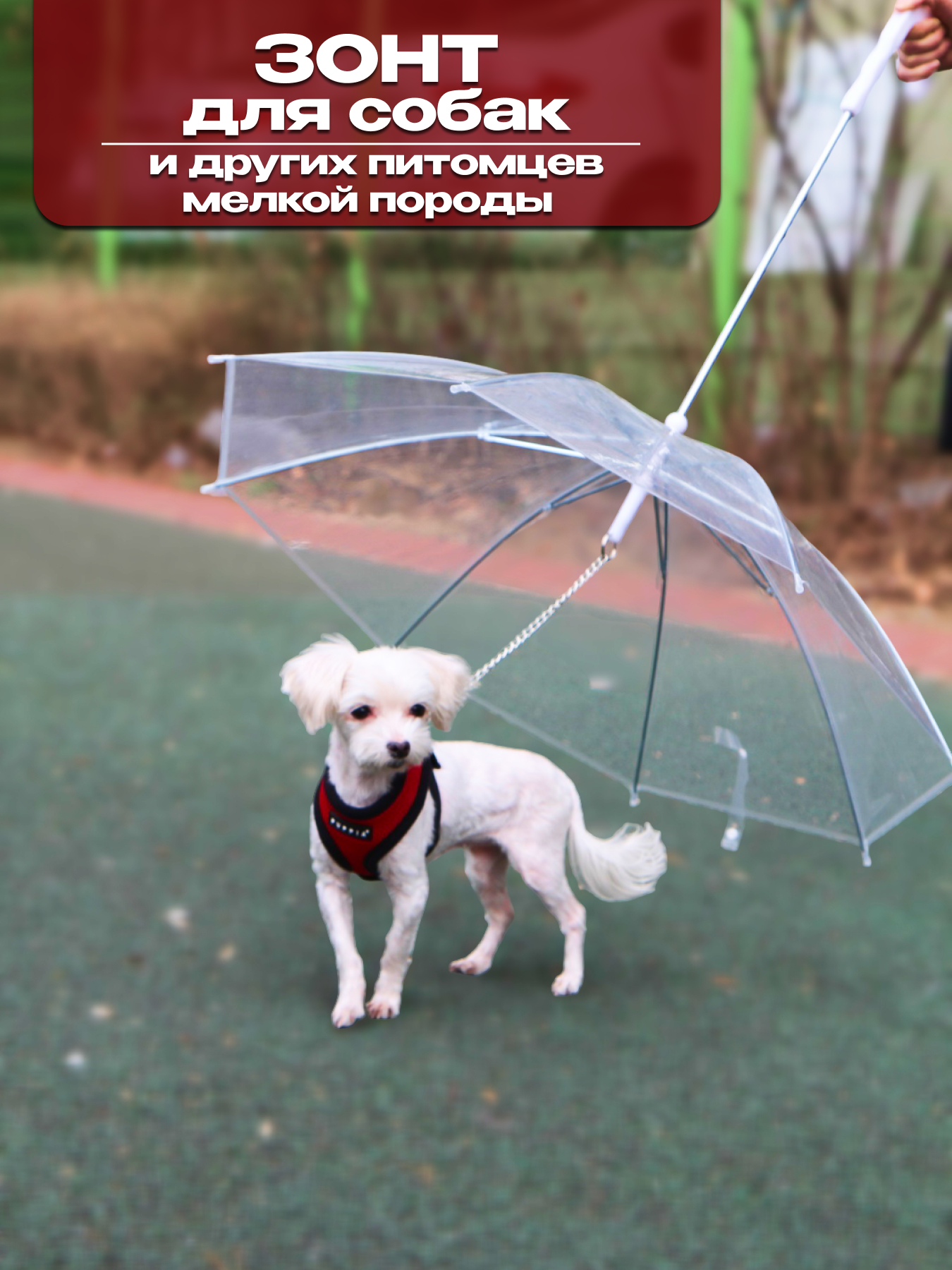 Зонт для собак от дождя и снега, обхват купола 84см, прозрачный, с цепочкой и карабином
