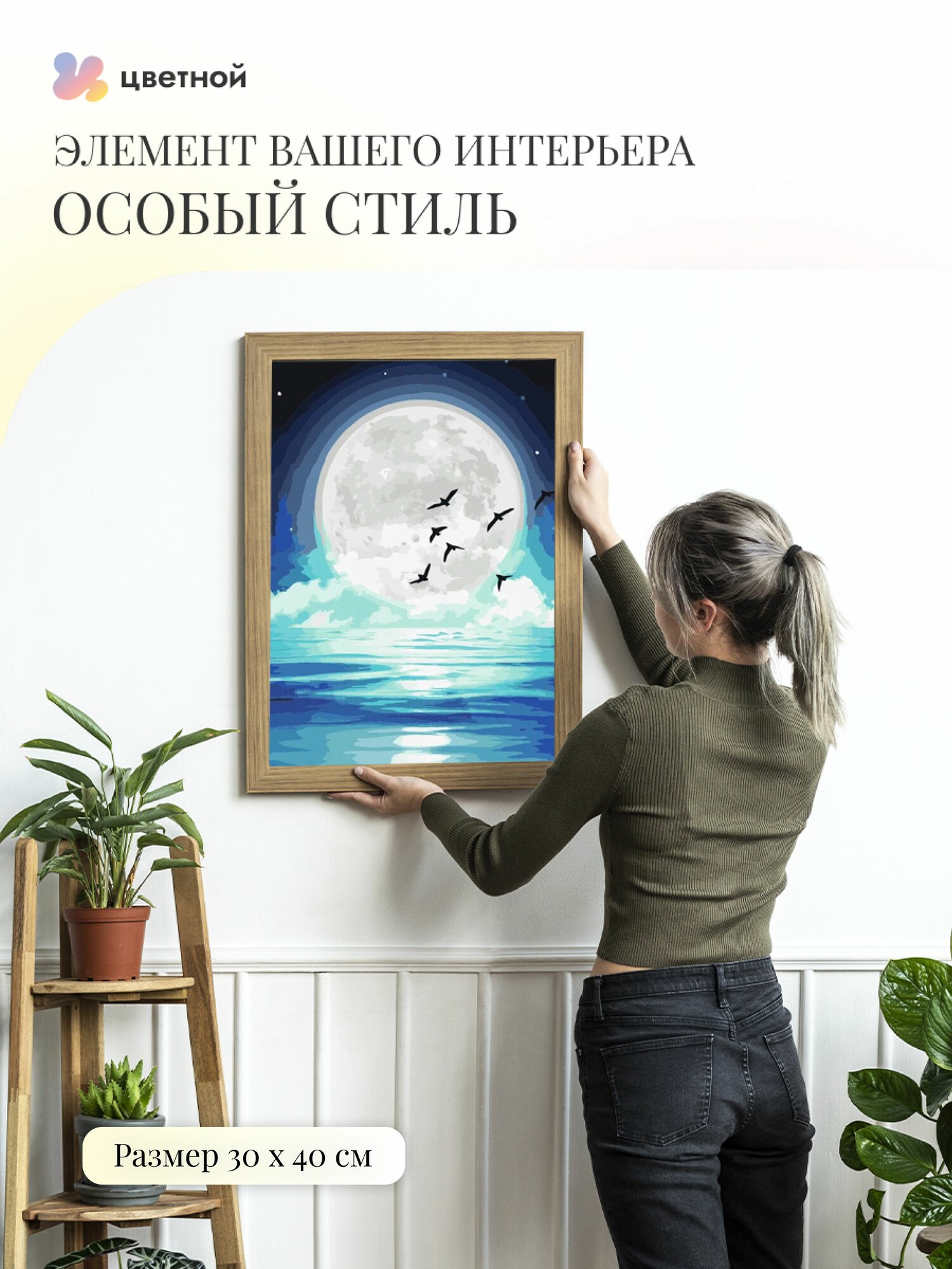 Картина по номерам Луна